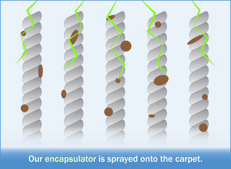What Is Encapsulation Carpet Cleaning? | Oxi Fresh